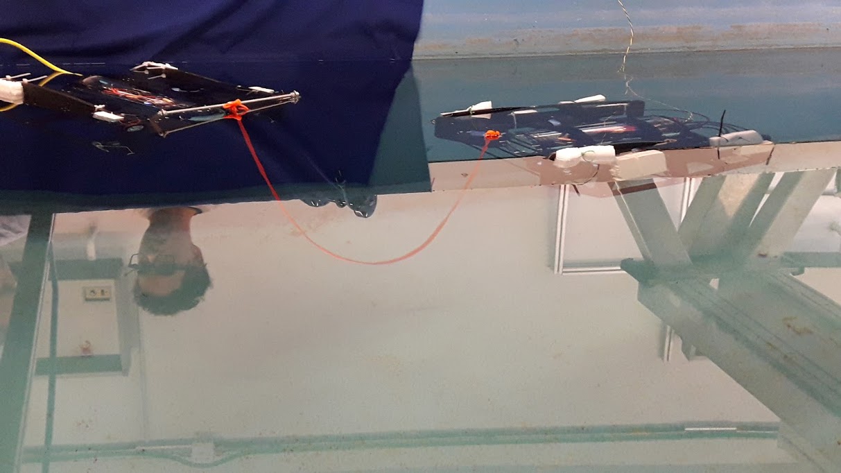 Pool experiment : chain of underwater robots – COSMER Laboratory – RNSR ...